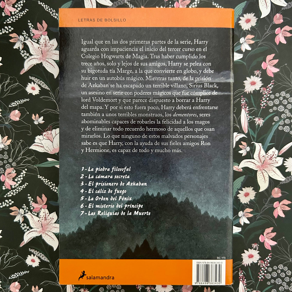 J.K. Rowling - Harry Potter y el Prisonero de Azkaban - Spanish Transl ...