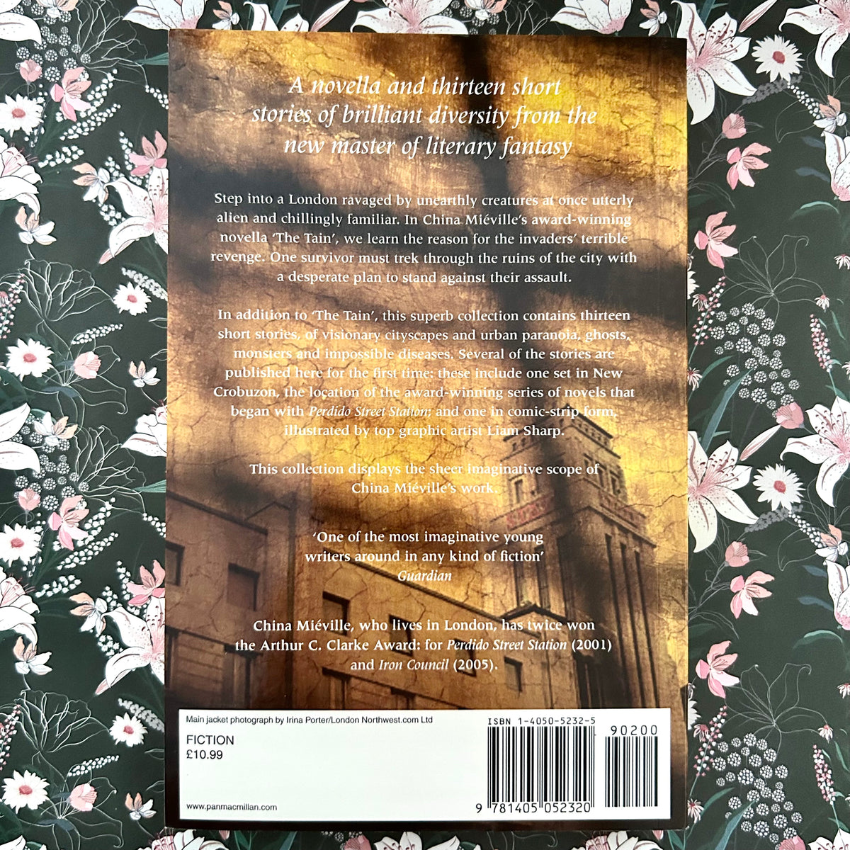 John Bayley - Iris – Stoker Books