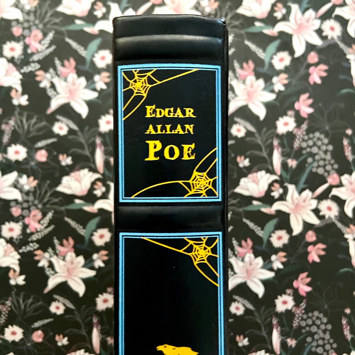 Edgar Allan Poe - Stories and Poems – Stoker Books